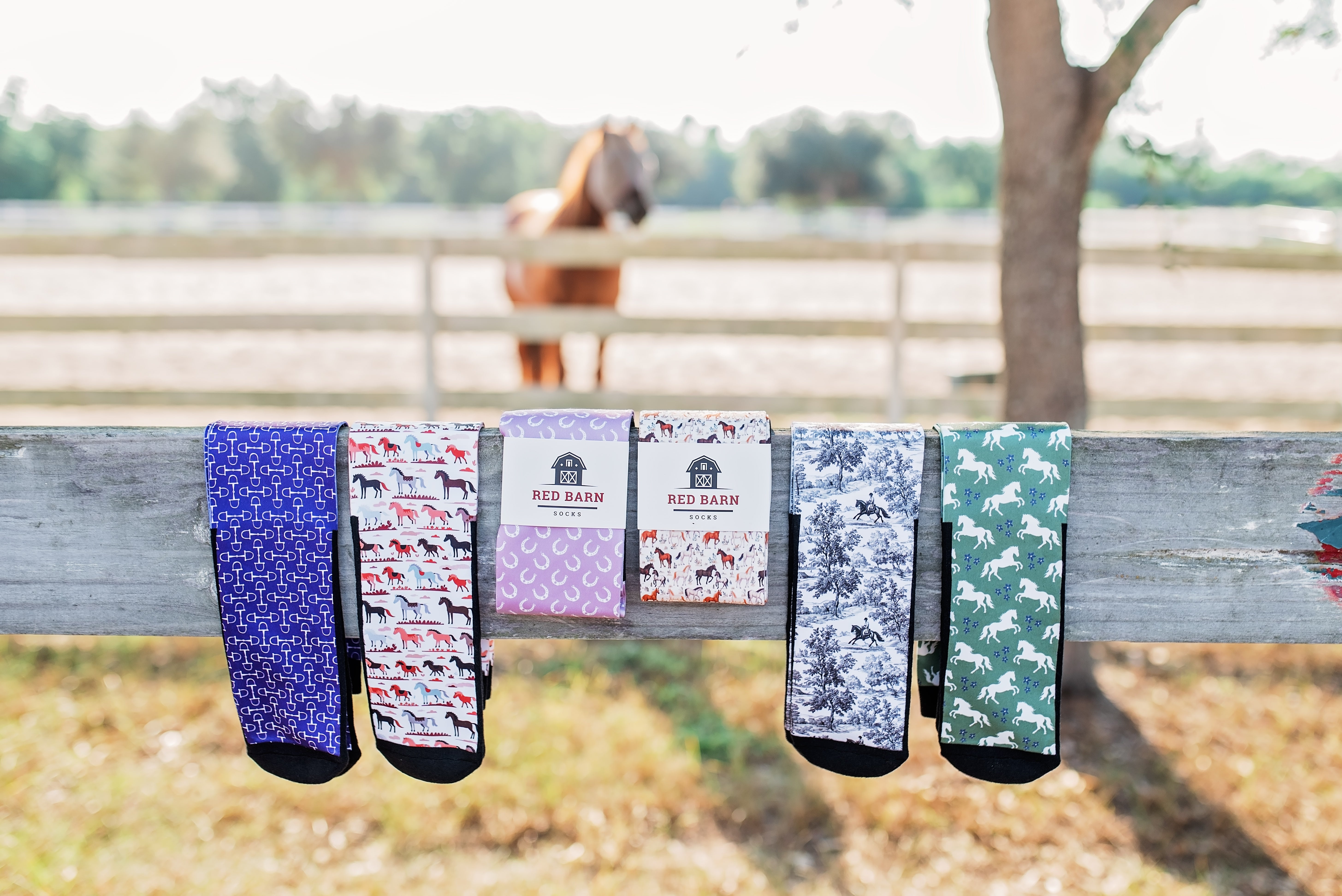 The Arena Collection – Red Barn Socks